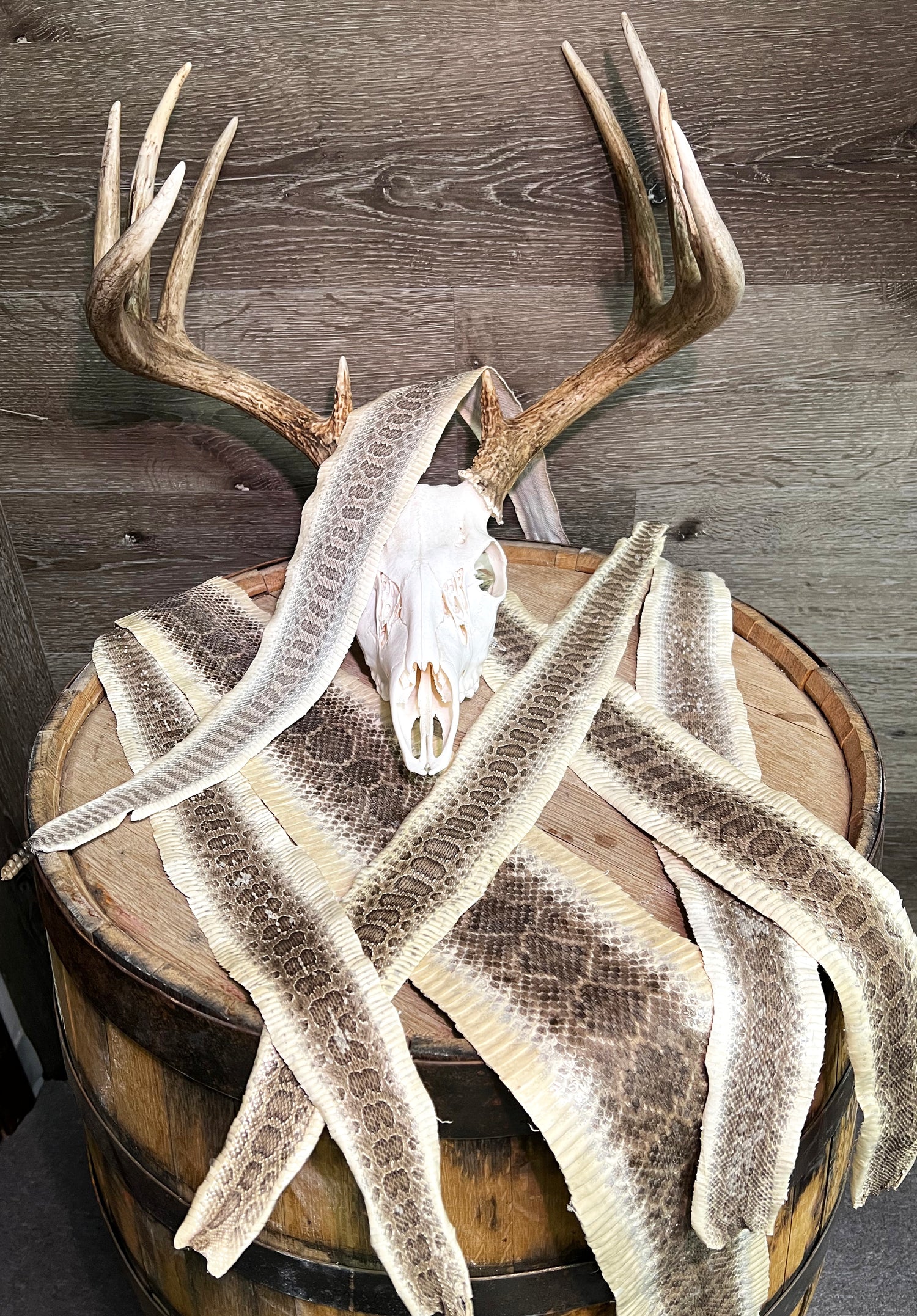 Truly Tanning Snakeskins: Tan-a-Snake vs. the Glycerin/Alcohol Method ...